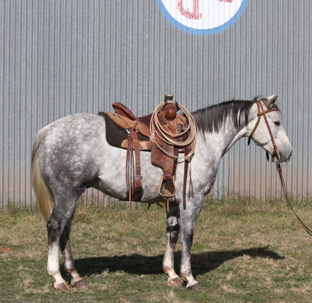 Sale Barn – W. T. Waggoner Ranch